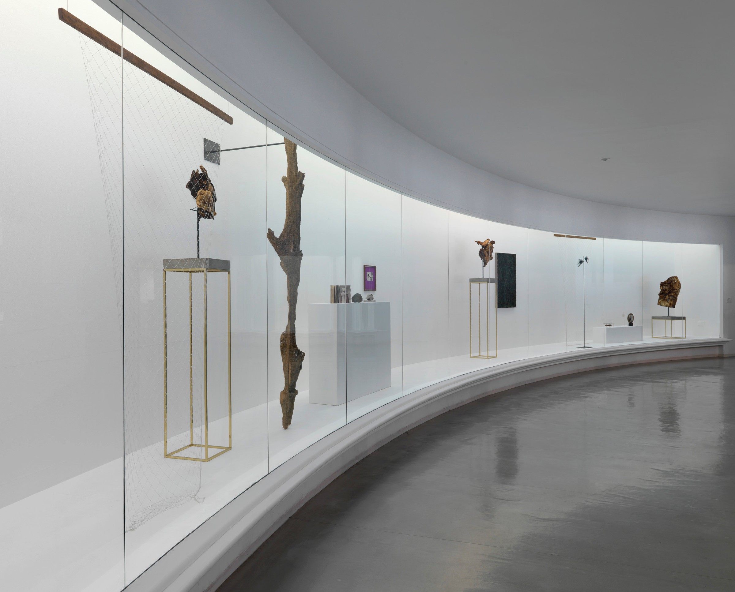 Carol Bove | Gagosian