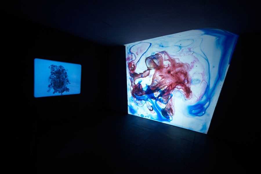 Ellen Gallagher | Gagosian