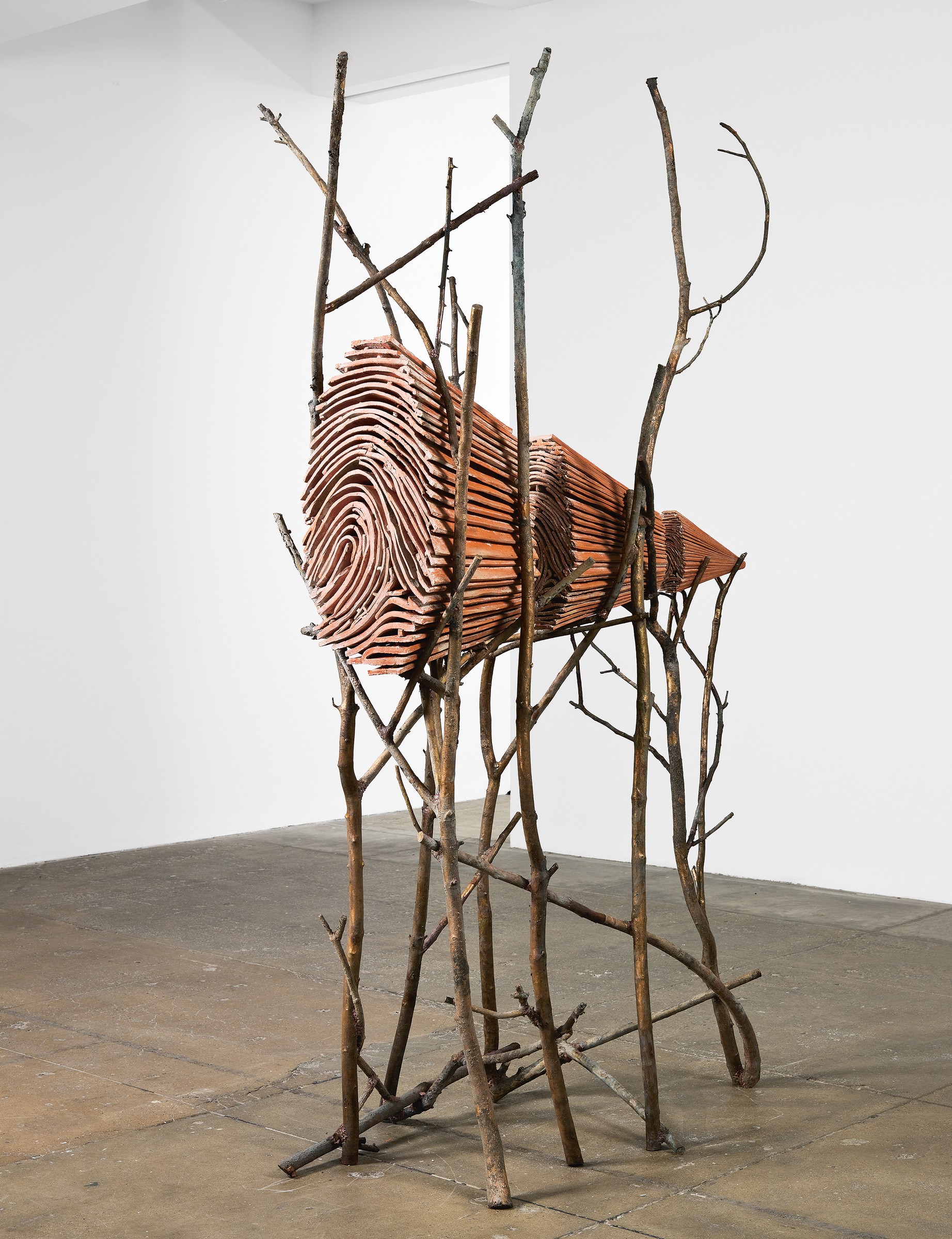 Giuseppe Penone | Gagosian