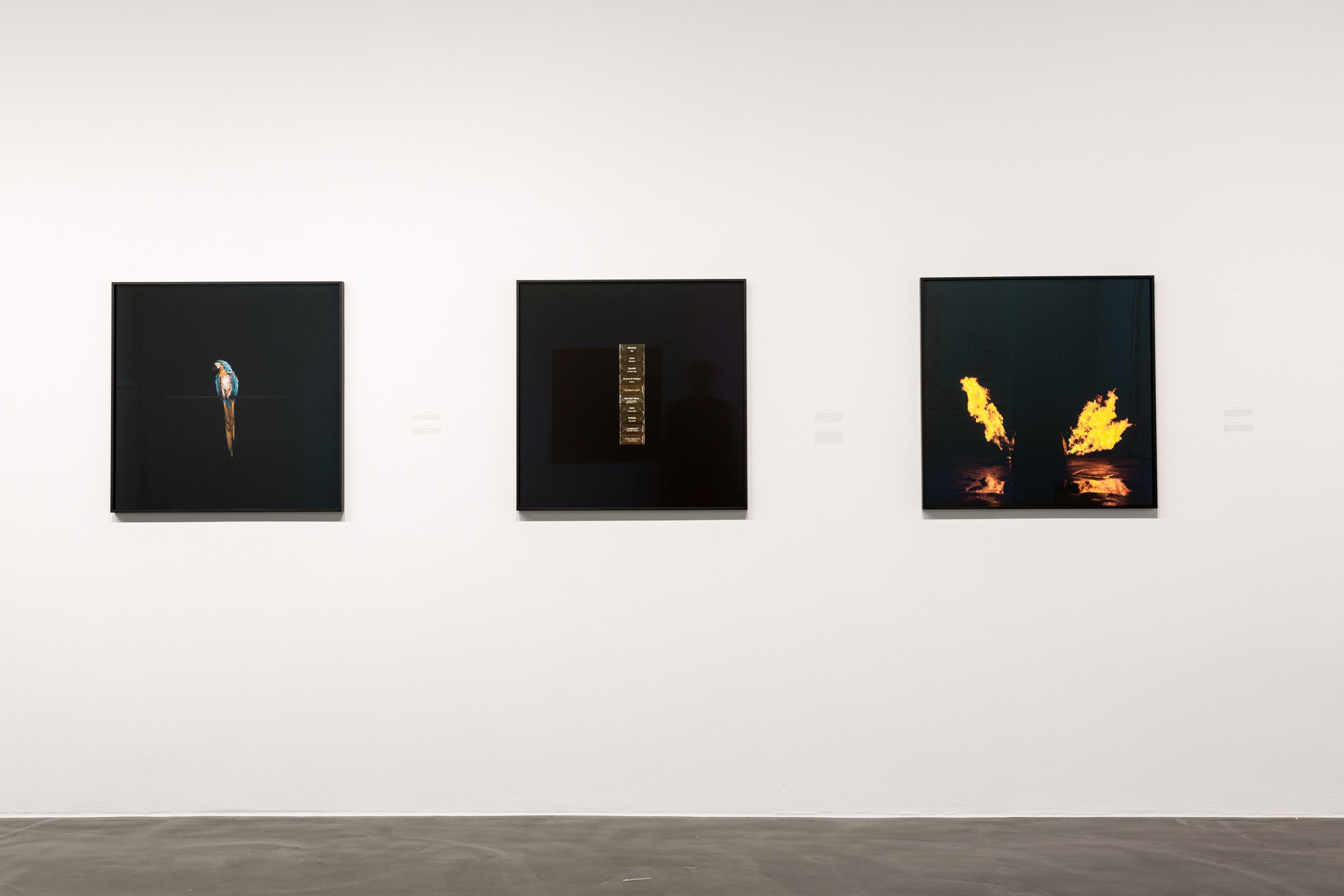 Taryn Simon | Gagosian