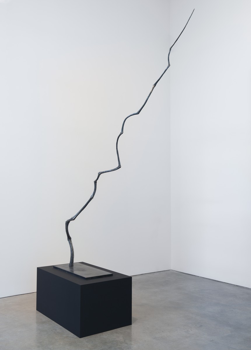 Zeng Fanzhi | Gagosian