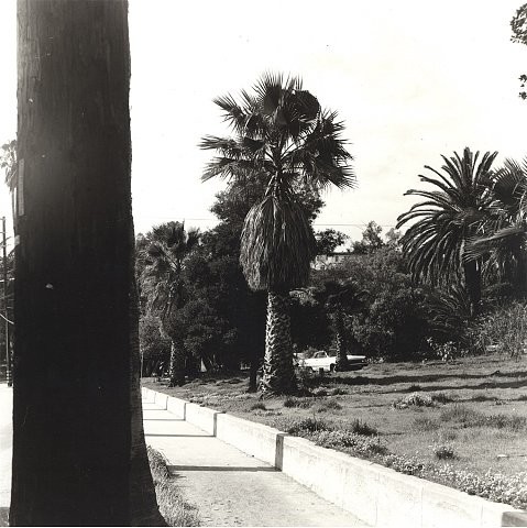 Ed Ruscha: Photographs, Beverly Hills, March 20–April 19, 2003 | Gagosian