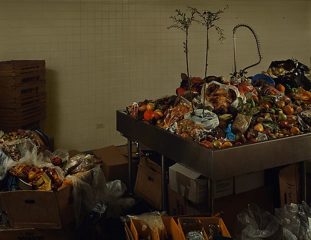 Taryn Simon: An American Index of the Hidden and Unfamiliar, Beverly ...