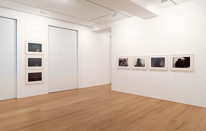 Richard Prince, Hong Kong, May 24–July 16, 2011 | Gagosian