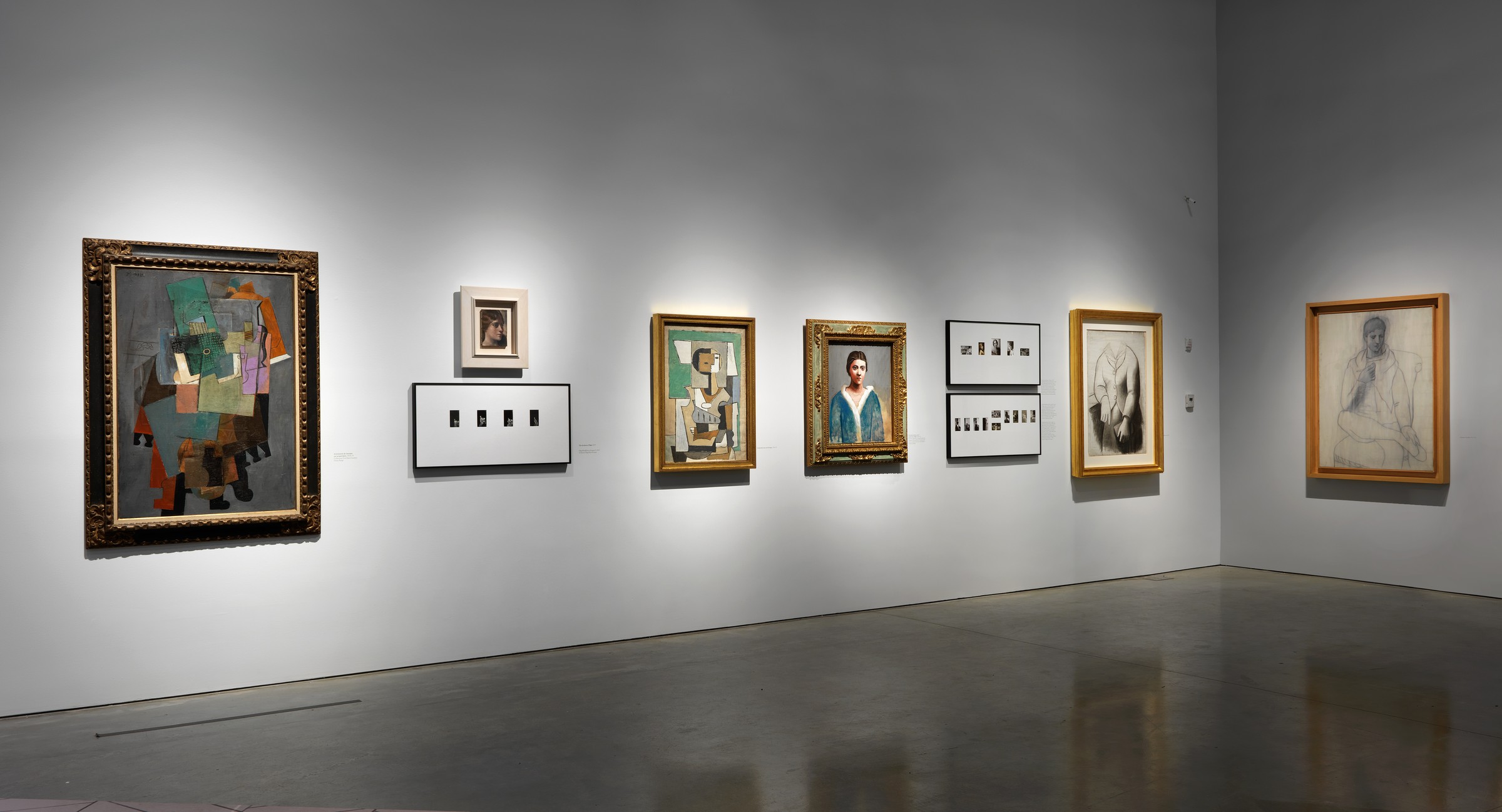 Picasso & the Camera: Curated by John Richardson, West 21st Street, New ...