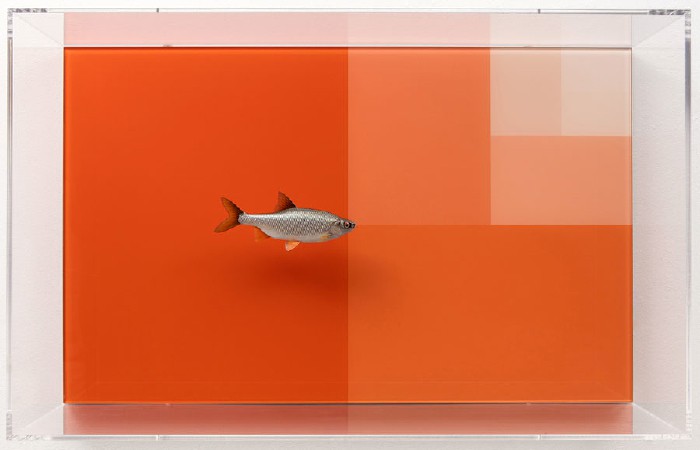 Carsten Höller: Zoology, Geneva, June 9–August 12, 2016 | Gagosian