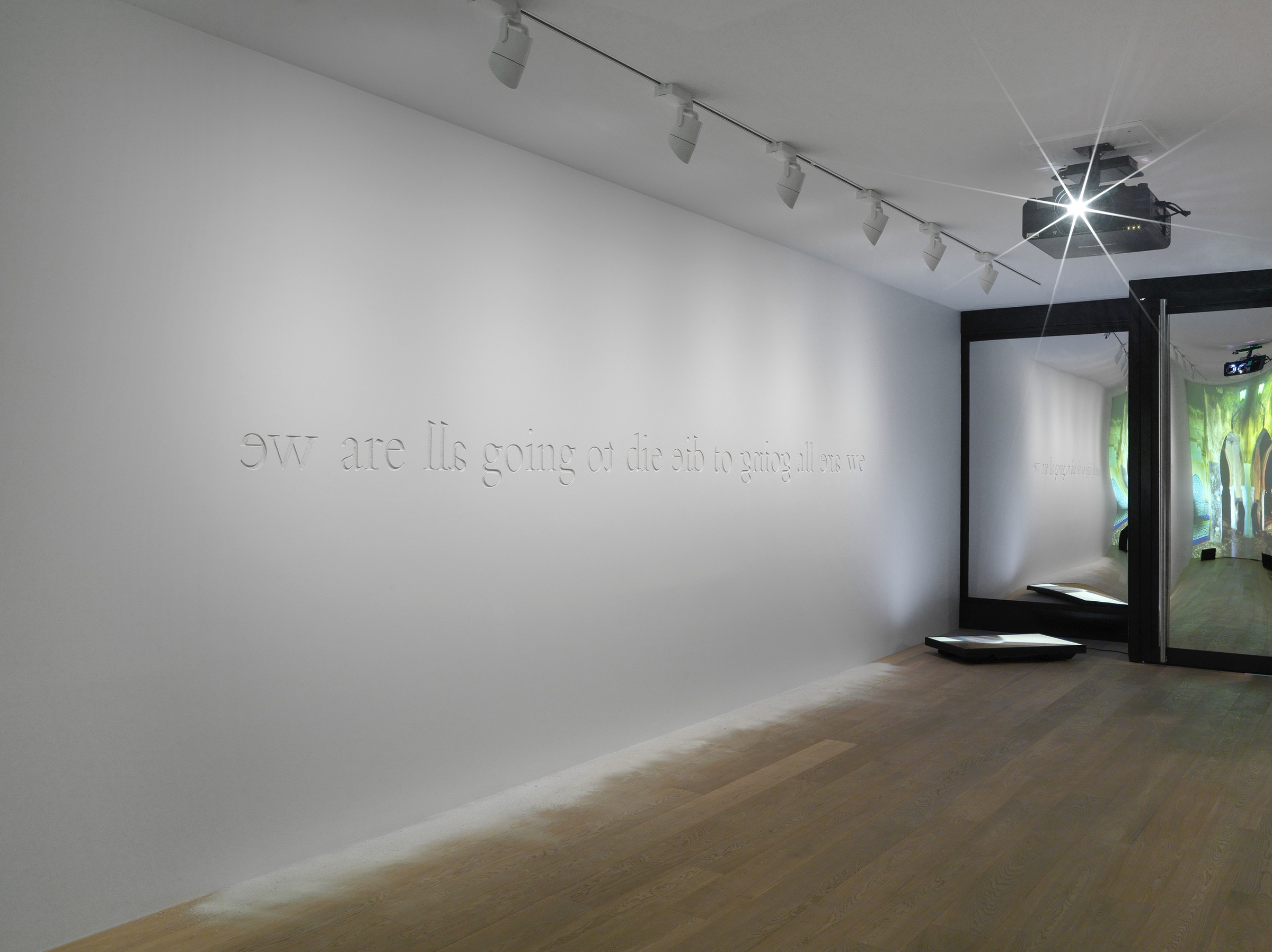Douglas Gordon, Geneva, November 11–December 23, 2016 | Gagosian