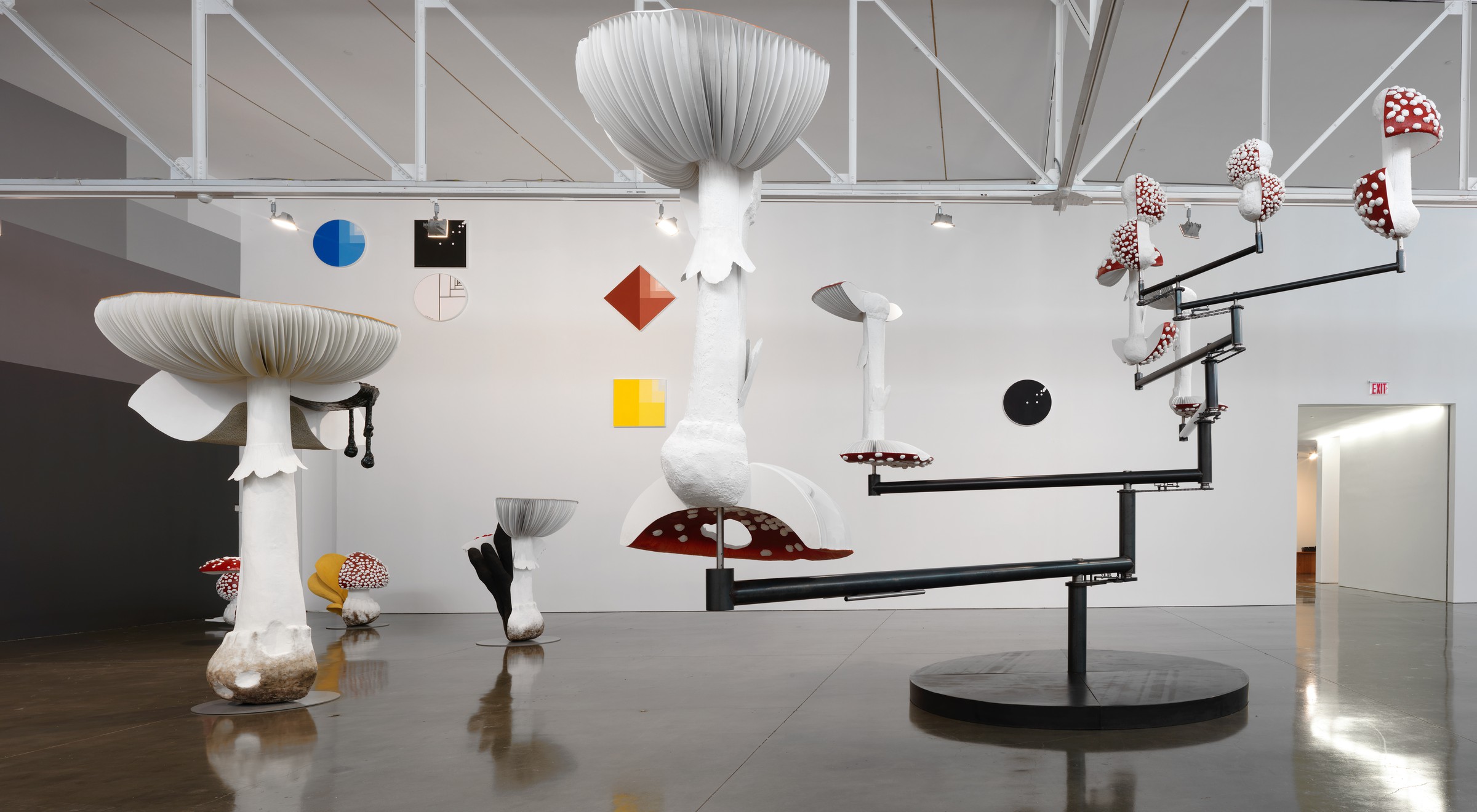 Carsten Höller: REASON, 555 West 24th Street, New York, June 20 ...