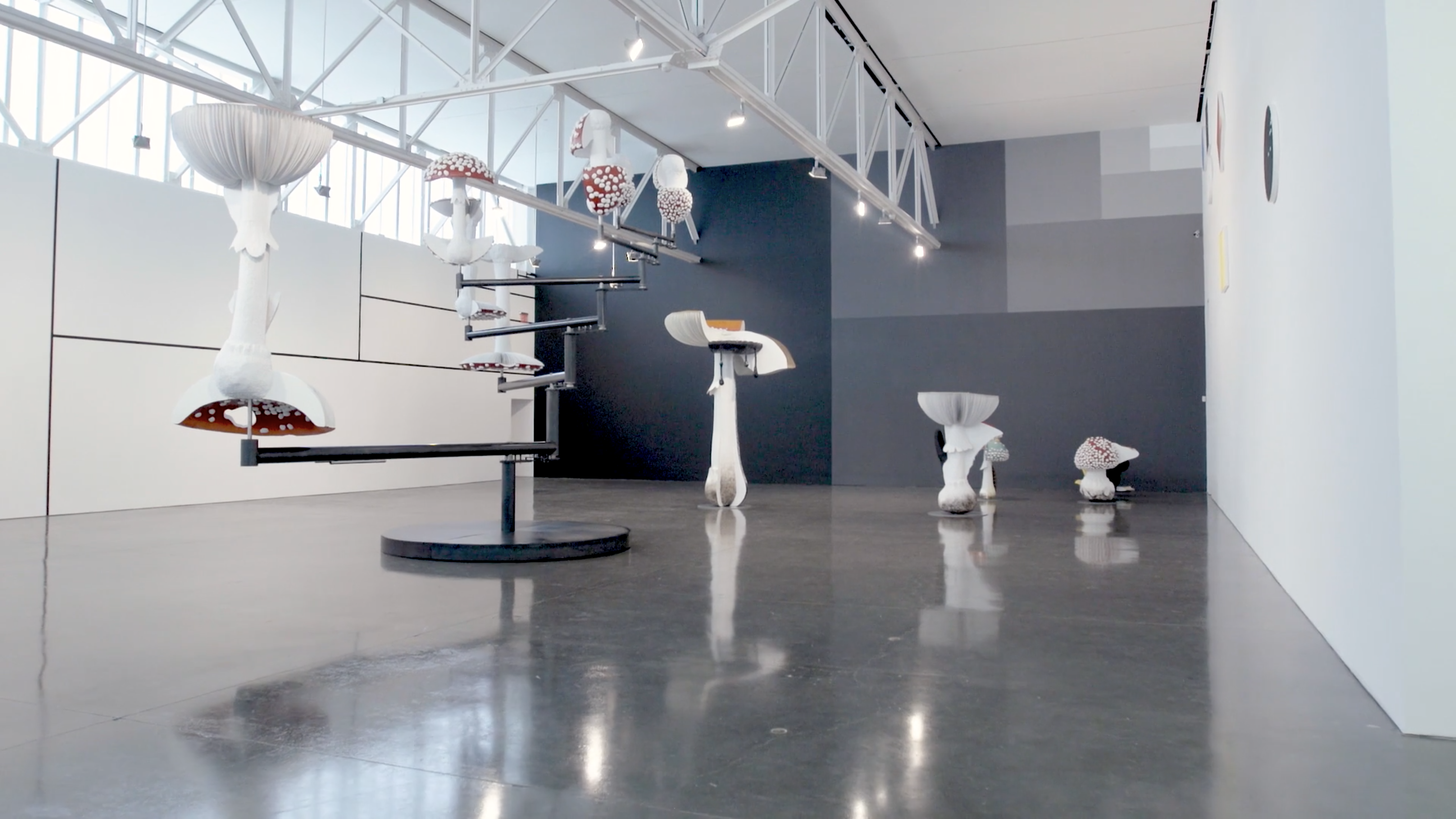 Carsten Höller: REASON, 555 West 24th Street, New York, June 20 ...