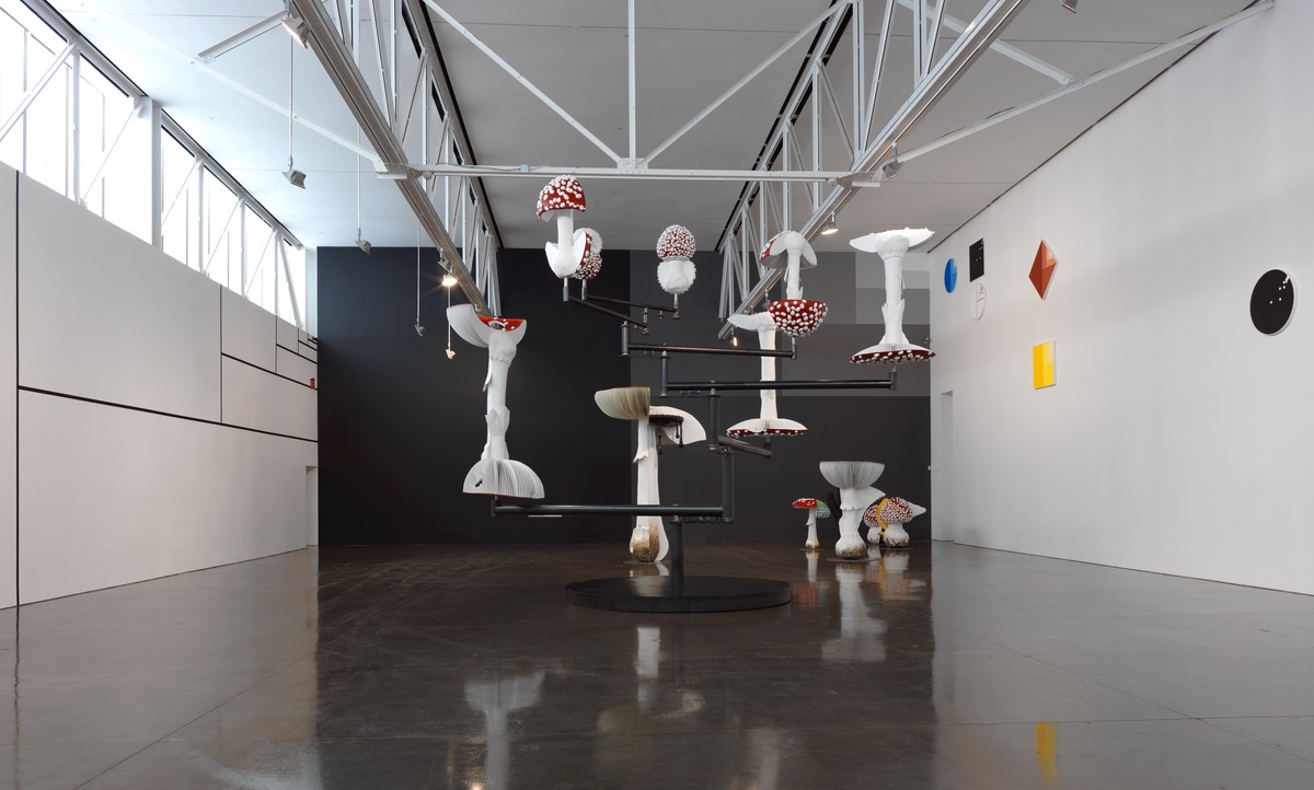 Carsten Höller: REASON, 555 West 24th Street, New York, June 20 ...