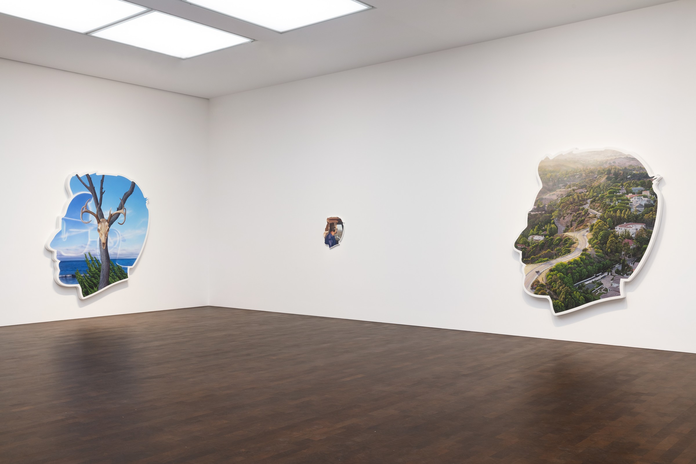 Alex Israel: Always On My Mind, Grosvenor Hill, London, January 16 ...