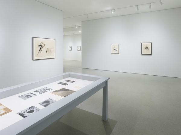 Transcending Definition: Jay DeFeo in the 1970s, San Francisco ...
