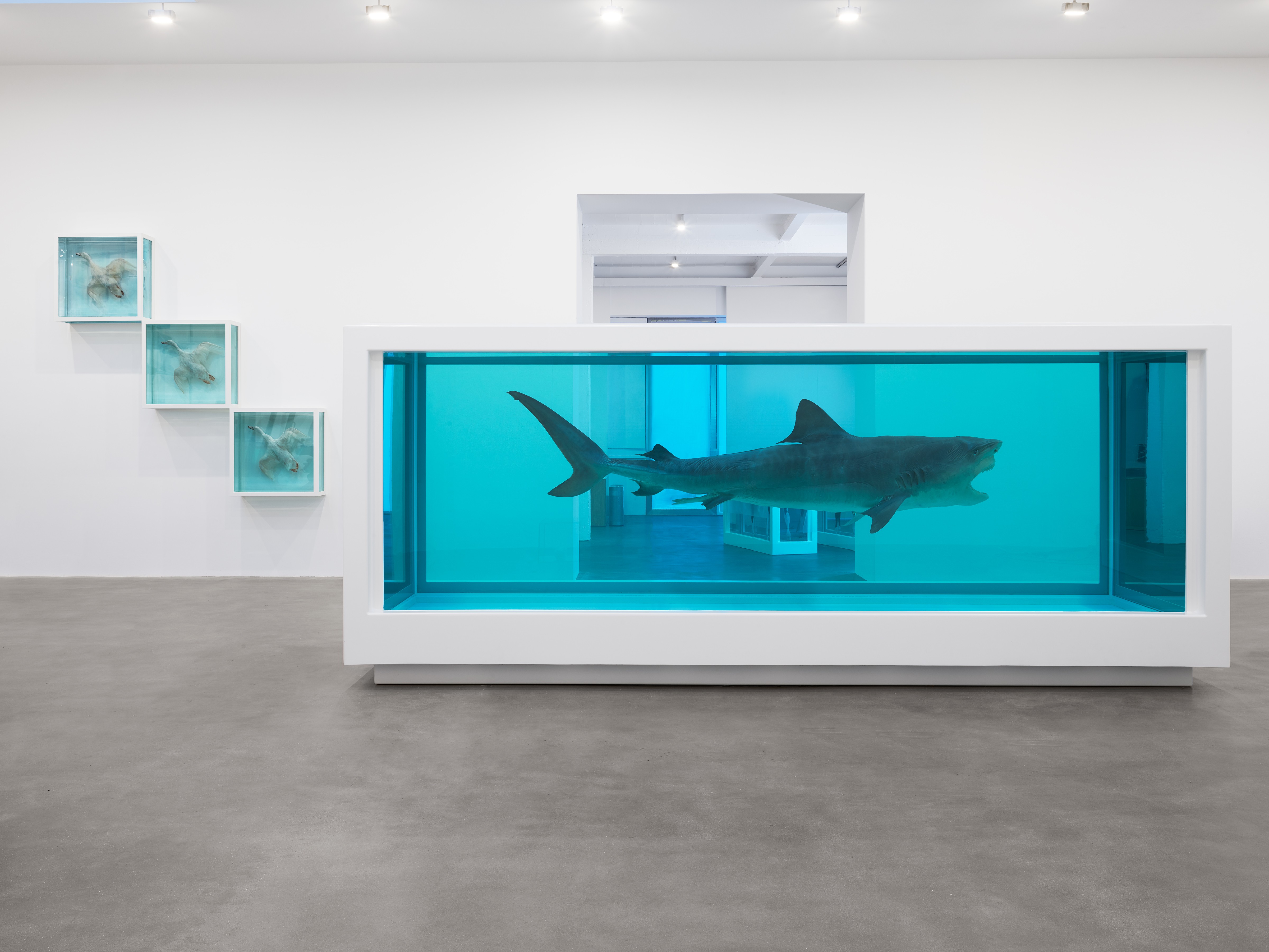 Damien Hirst: Natural History, Britannia Street, London, March 9, 2022 ...