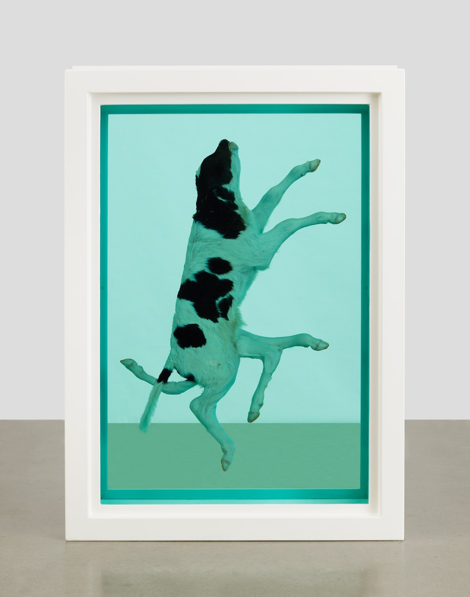 Exhibitions Damien Hirst 2023 Gagosian Exhibitions Damien Hirst 2023 Gagosian
