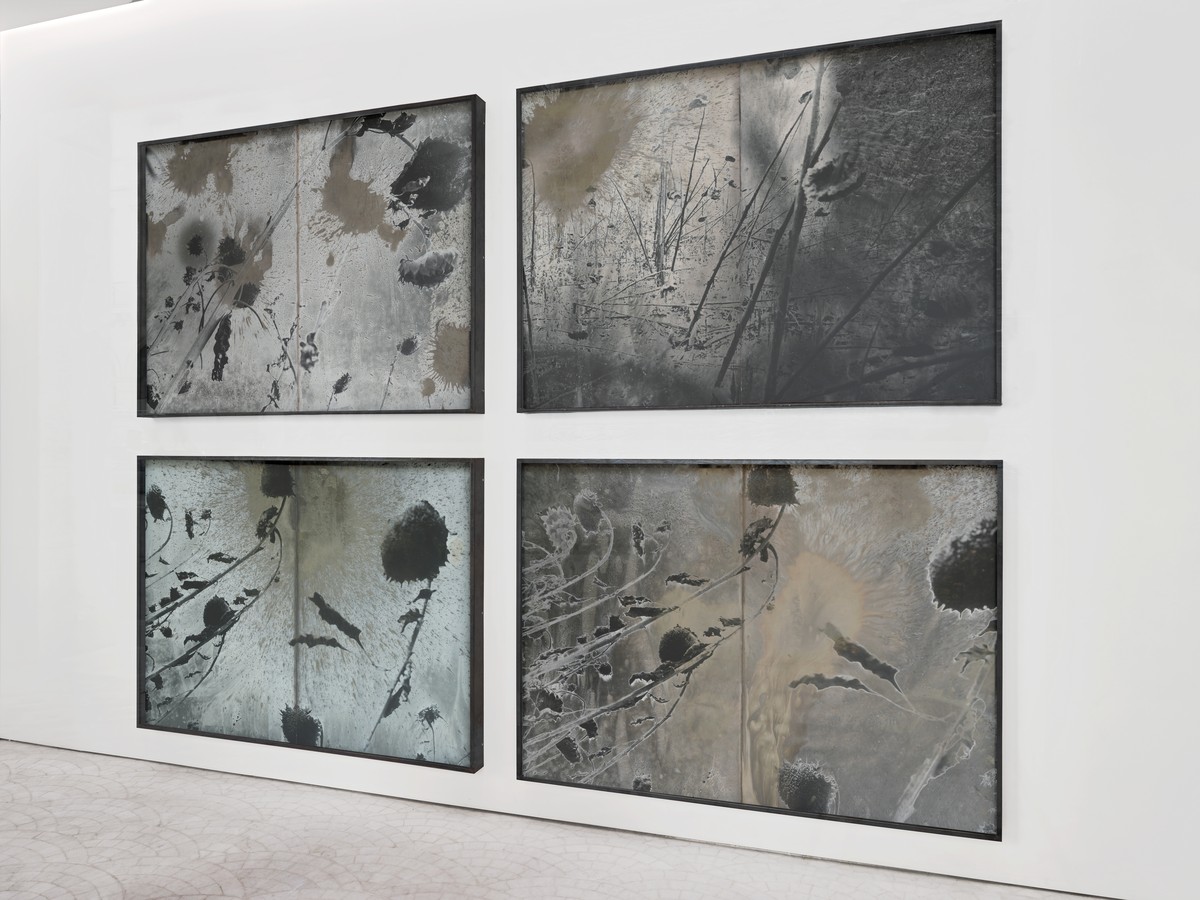 Anselm Kiefer: For Robert Fludd, rue de Castiglione, Paris, September 7 ...