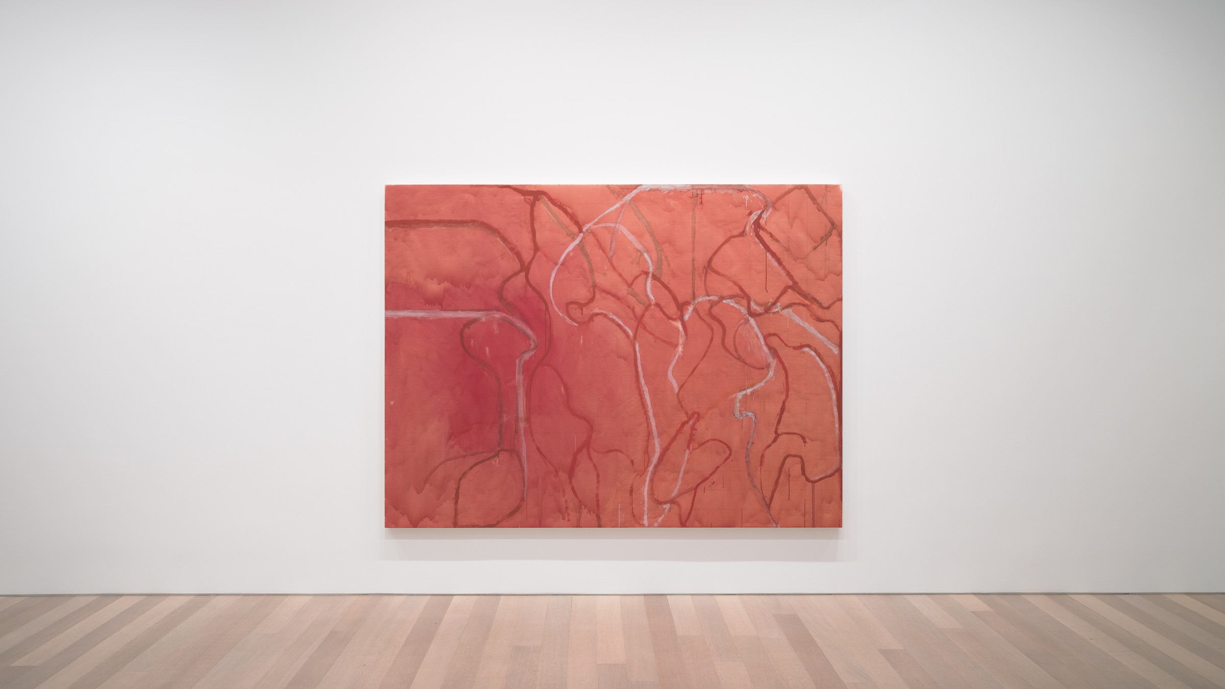 Brice Marden: Let the painting make you, 980 Madison Avenue, New York ...