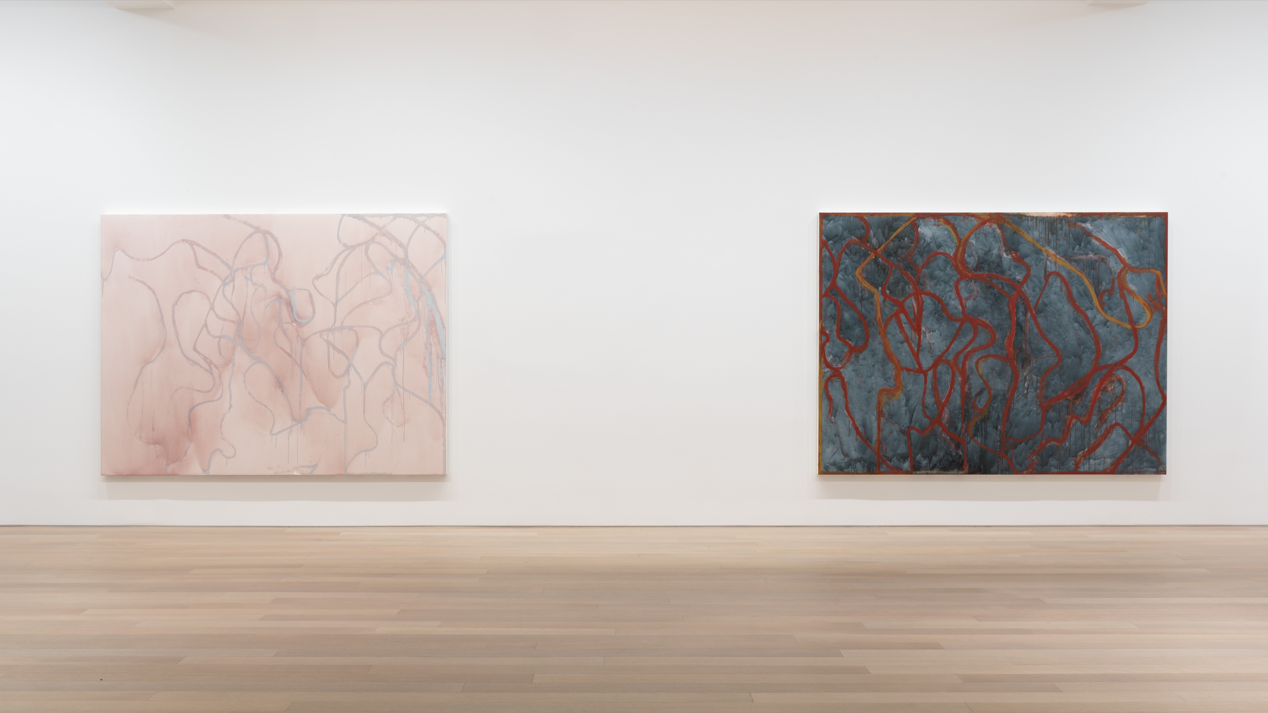 Brice Marden: Let the painting make you, 980 Madison Avenue, New York ...