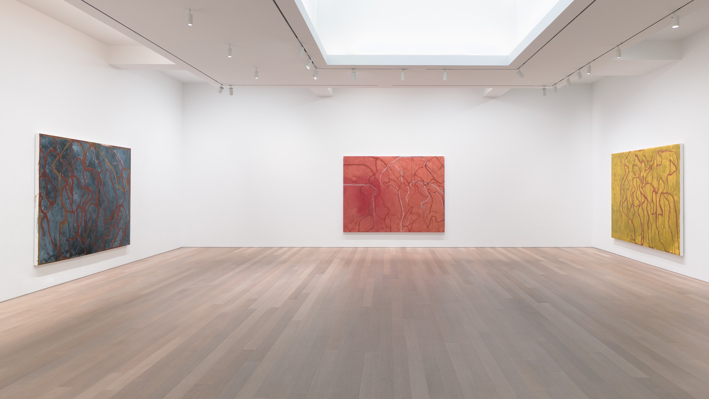 Brice Marden: Let the painting make you, 980 Madison Avenue, New York ...