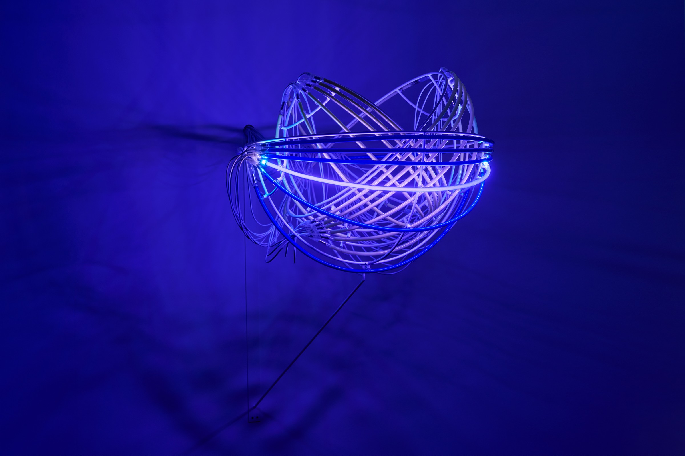 Carsten Höller: Clocks, rue de Castiglione, Paris, March 28–May 20 ...