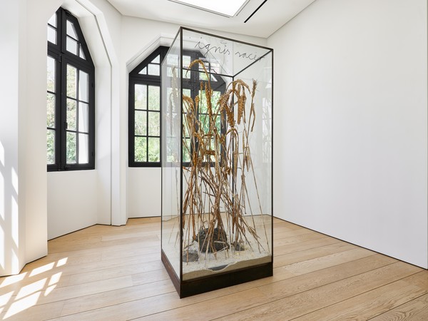 Anselm Kiefer, Athens, June 21–August 24, 2024 | Gagosian