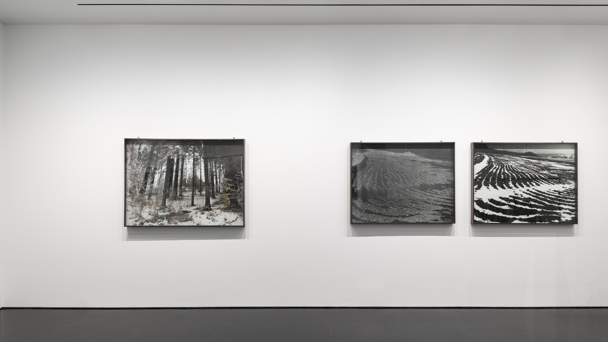 Anselm Kiefer: Punctum, 976 Madison Avenue, New York, April 25–July 3 ...