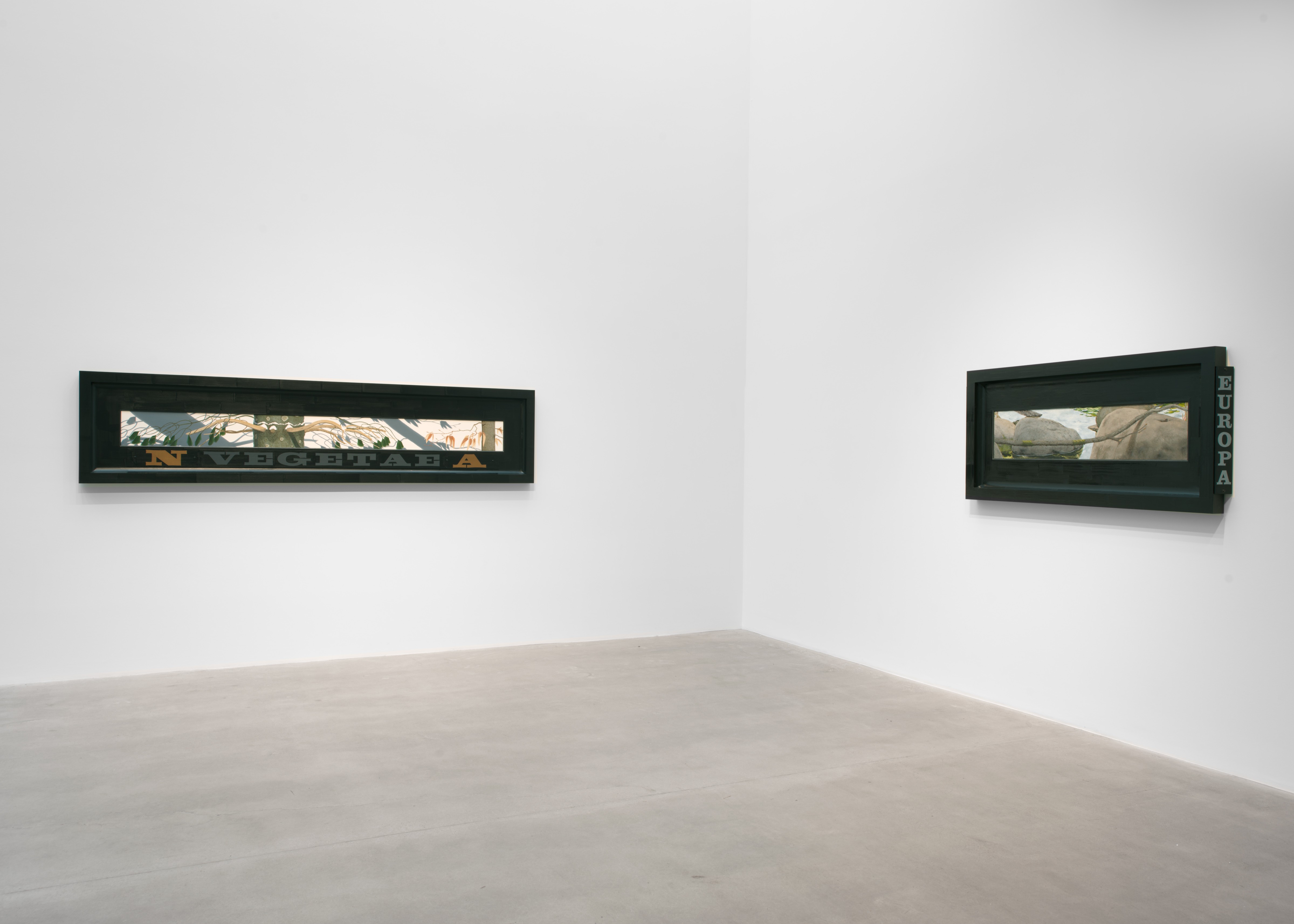 Neil Jenney: Idealism Is Unavoidable, 541 West 24th Street, New York ...