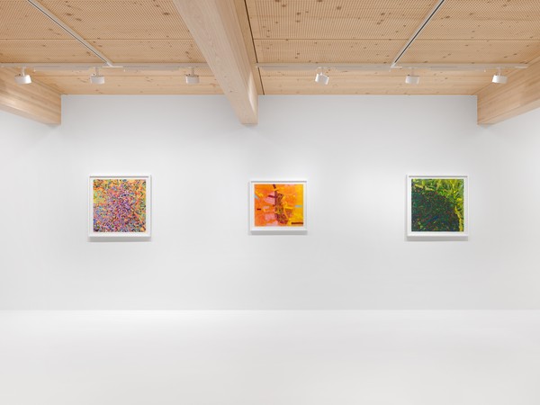 Rick Lowe: In Search of Light, Gstaad, December 21, 2024–January 26 ...