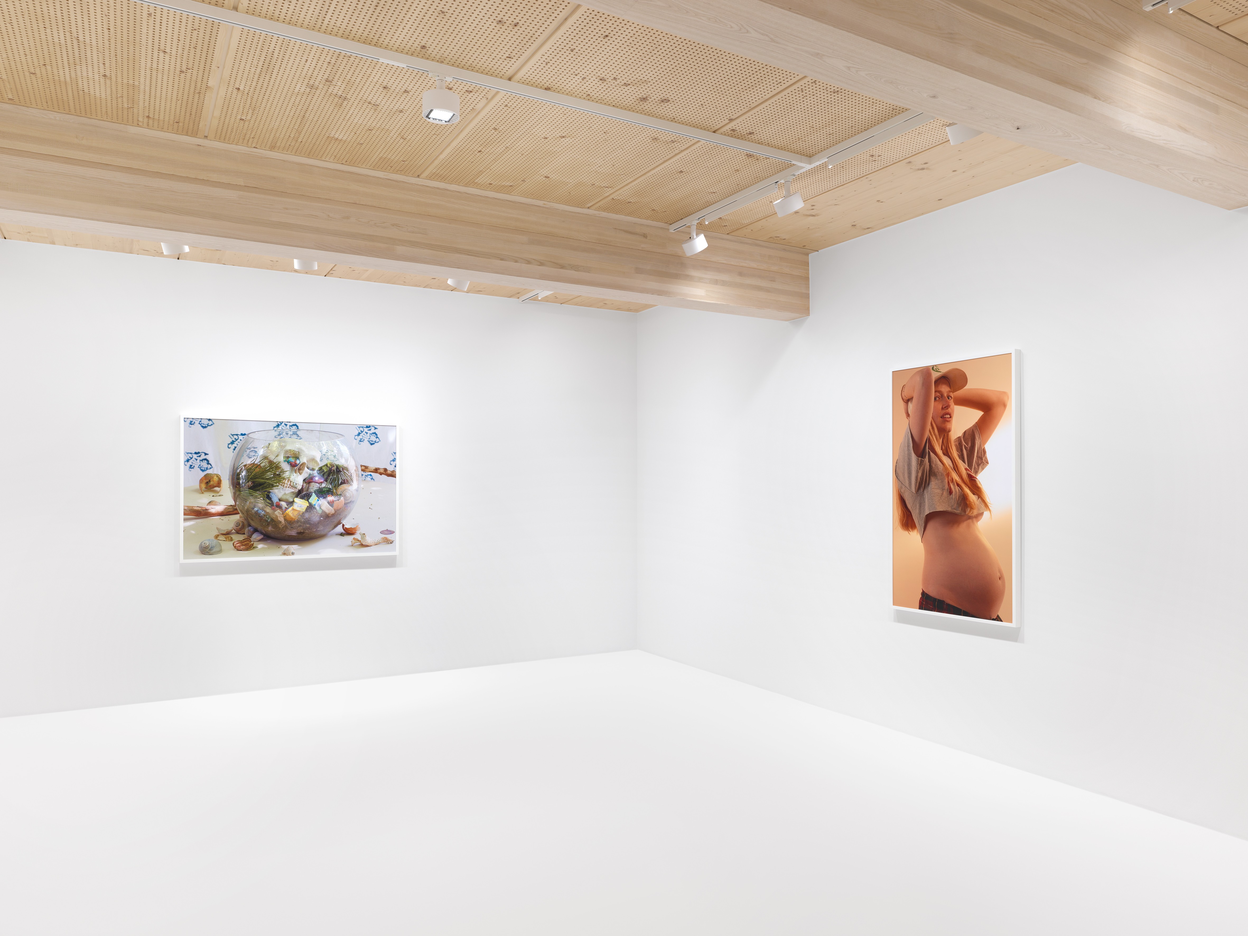 Roe Ethridge: Happy Birthday Louise Parker II, Gstaad, July 11 ...