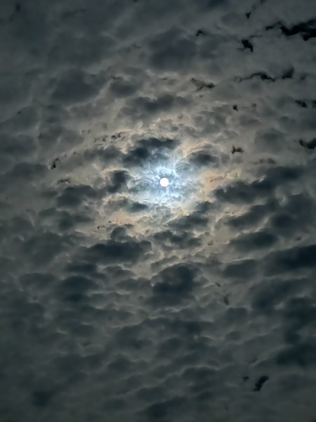 Andreas Gursky, rue de Castiglione, Paris, June 5–August 30, 2025 ...