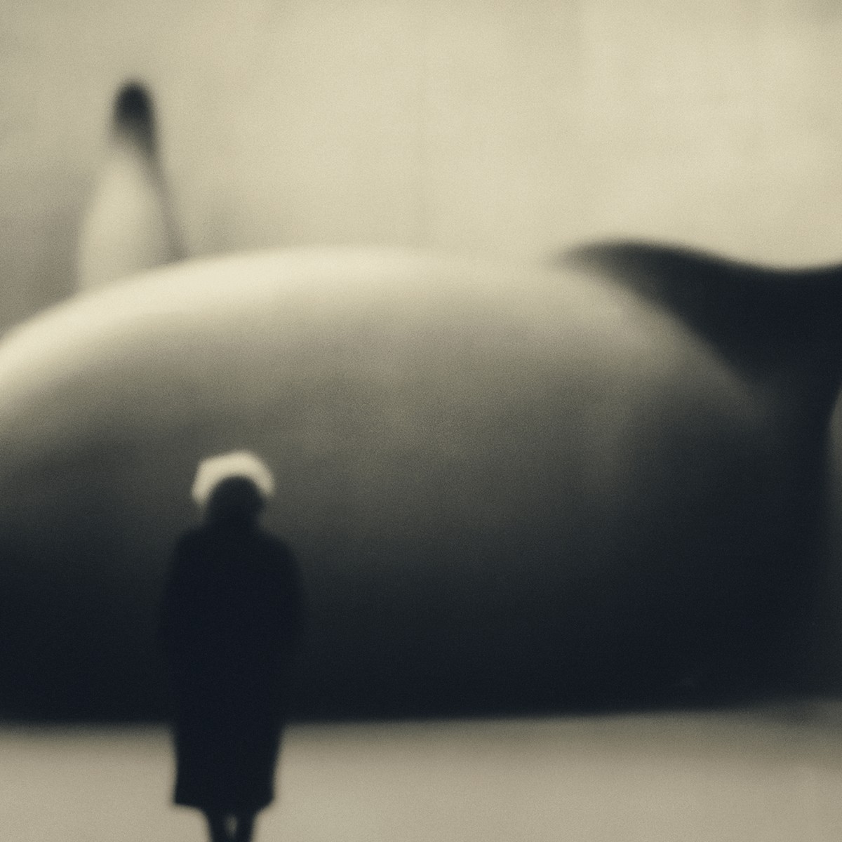 Bennett Miller, rue de Ponthieu, Paris, January 15–March 8, 2025 | Gagosian