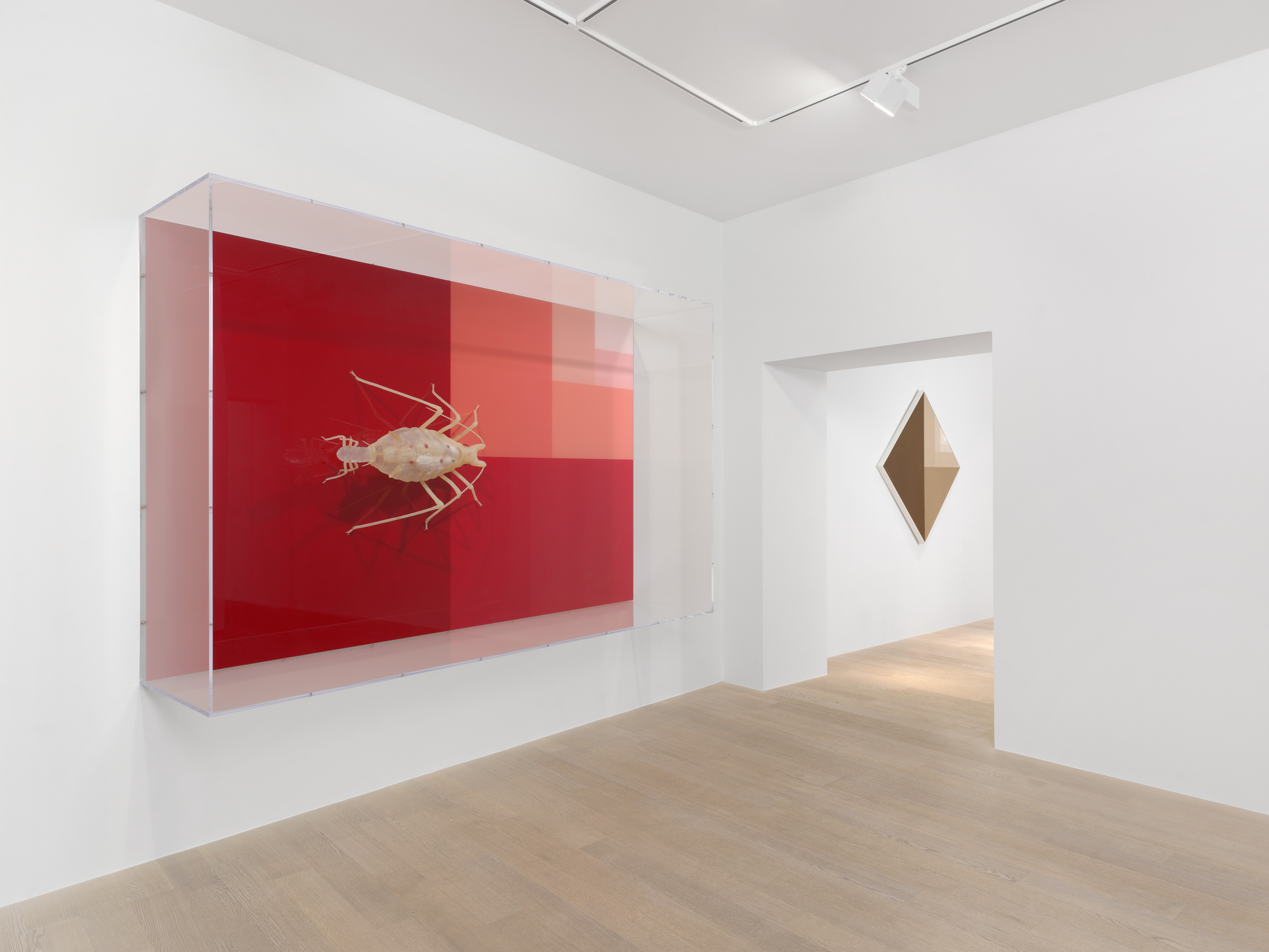 Carsten Höller: Halves, Basel, August 29–September 27, 2025 | Gagosian