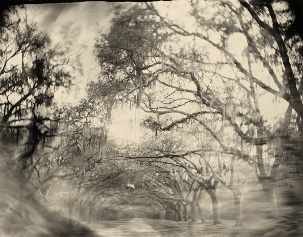 Sally Mann in: American Landscapes | Gagosian