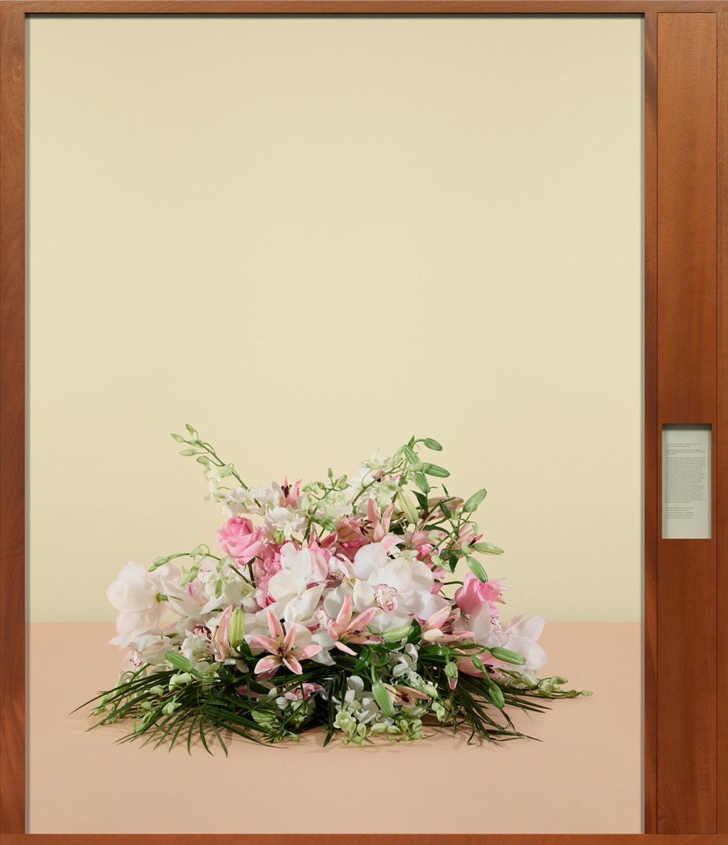 Taryn Simon in: Flower Power | Museum Exhibitions | News | Gagosian