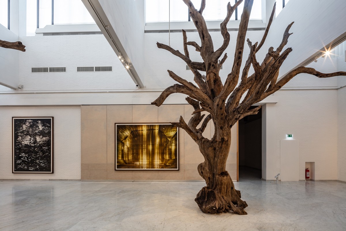 (Un)real | Museum Exhibitions | News | Gagosian