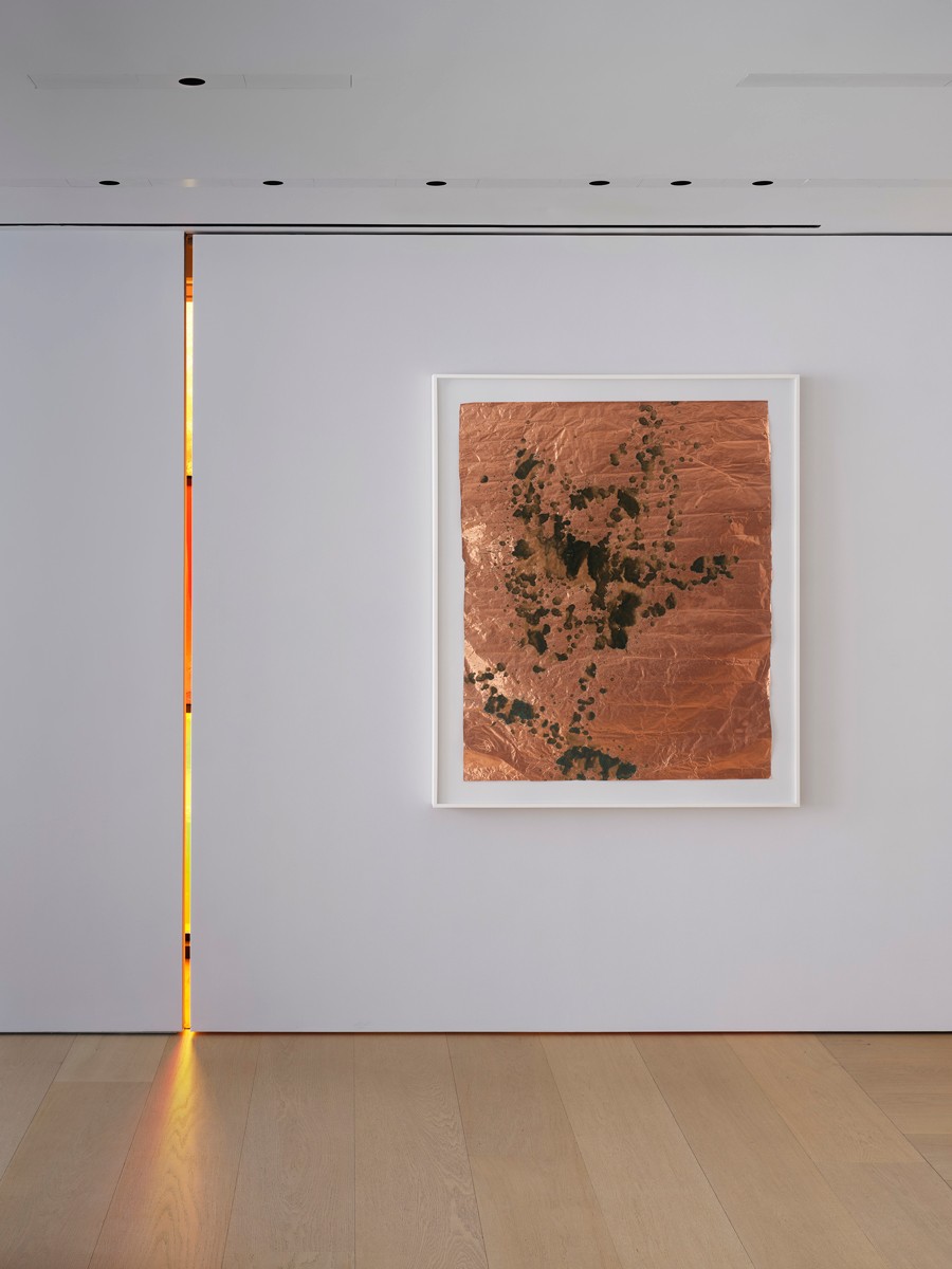 Andy Warhol in: N. Dash: Geophilia | Museum Exhibitions | News | Gagosian