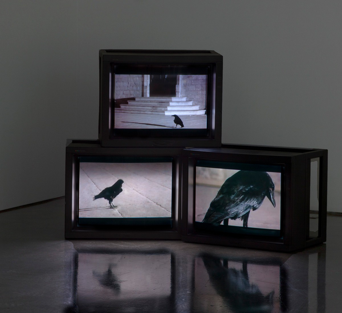 Douglas Gordon: Artist Rooms | Museum Exhibitions | News | Gagosian