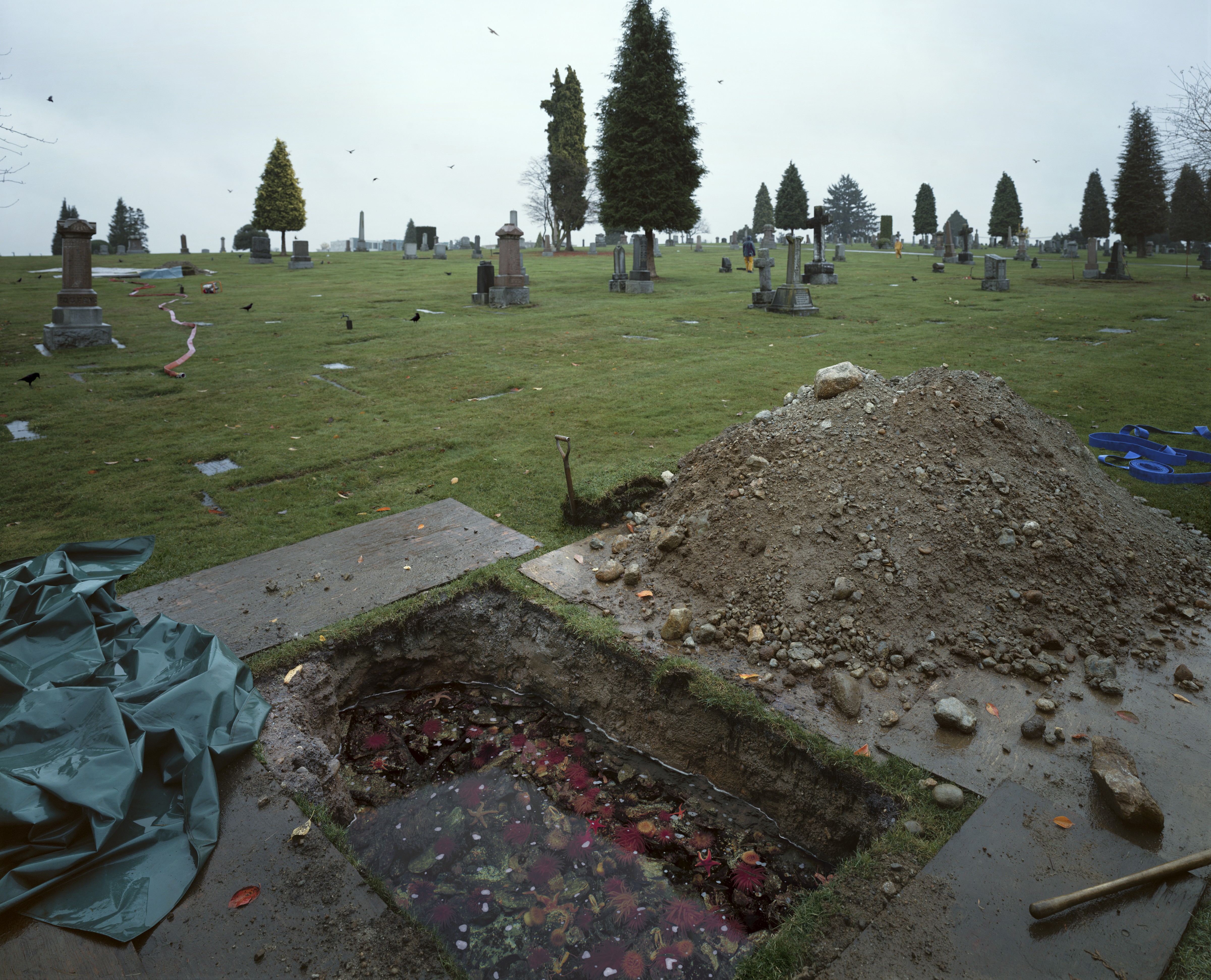 Jeff Wall and Gary Dufour | Gagosian Quarterly