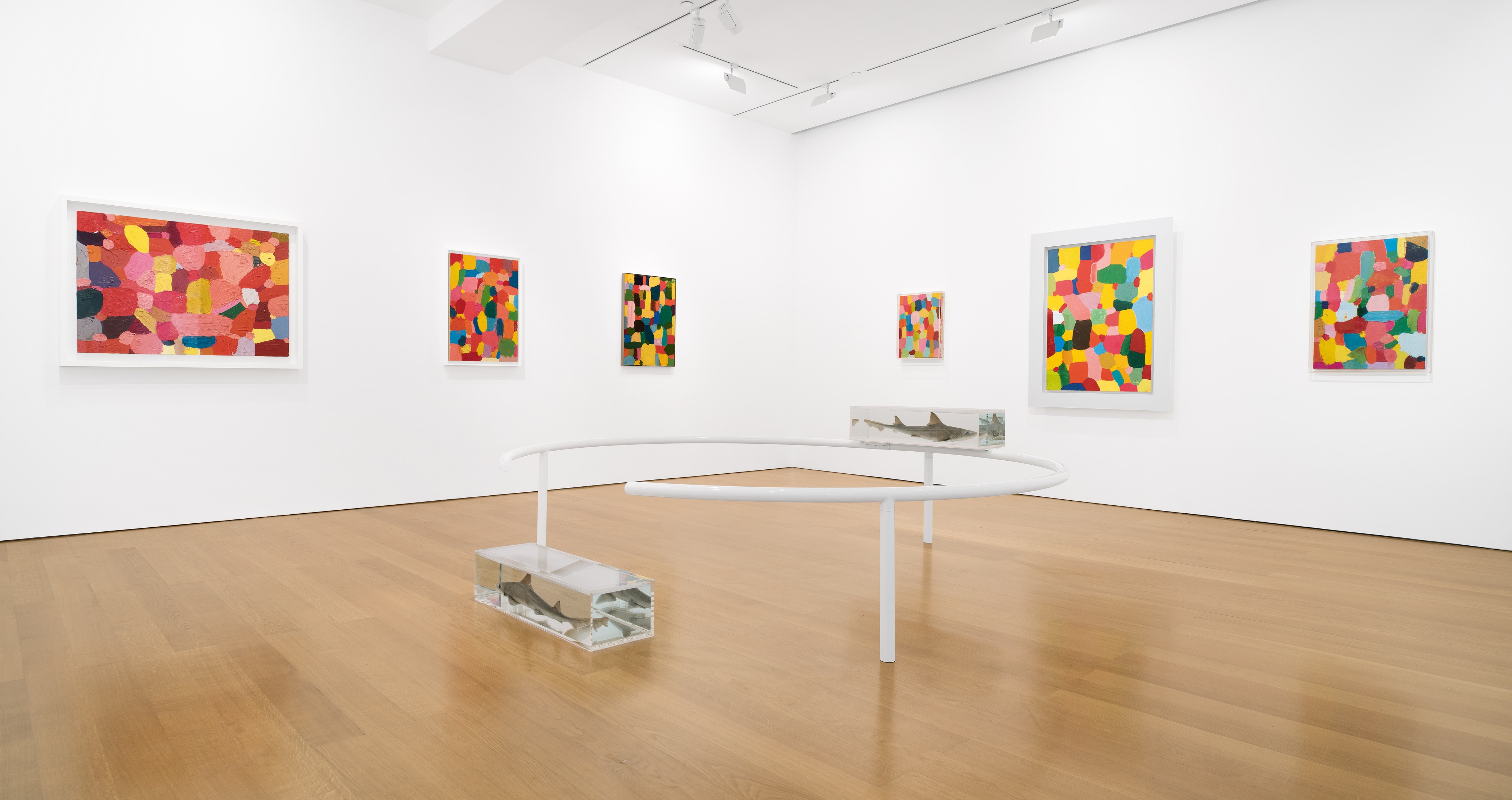 Damien Hirst: Visual Candy | Essay | Gagosian Quarterly