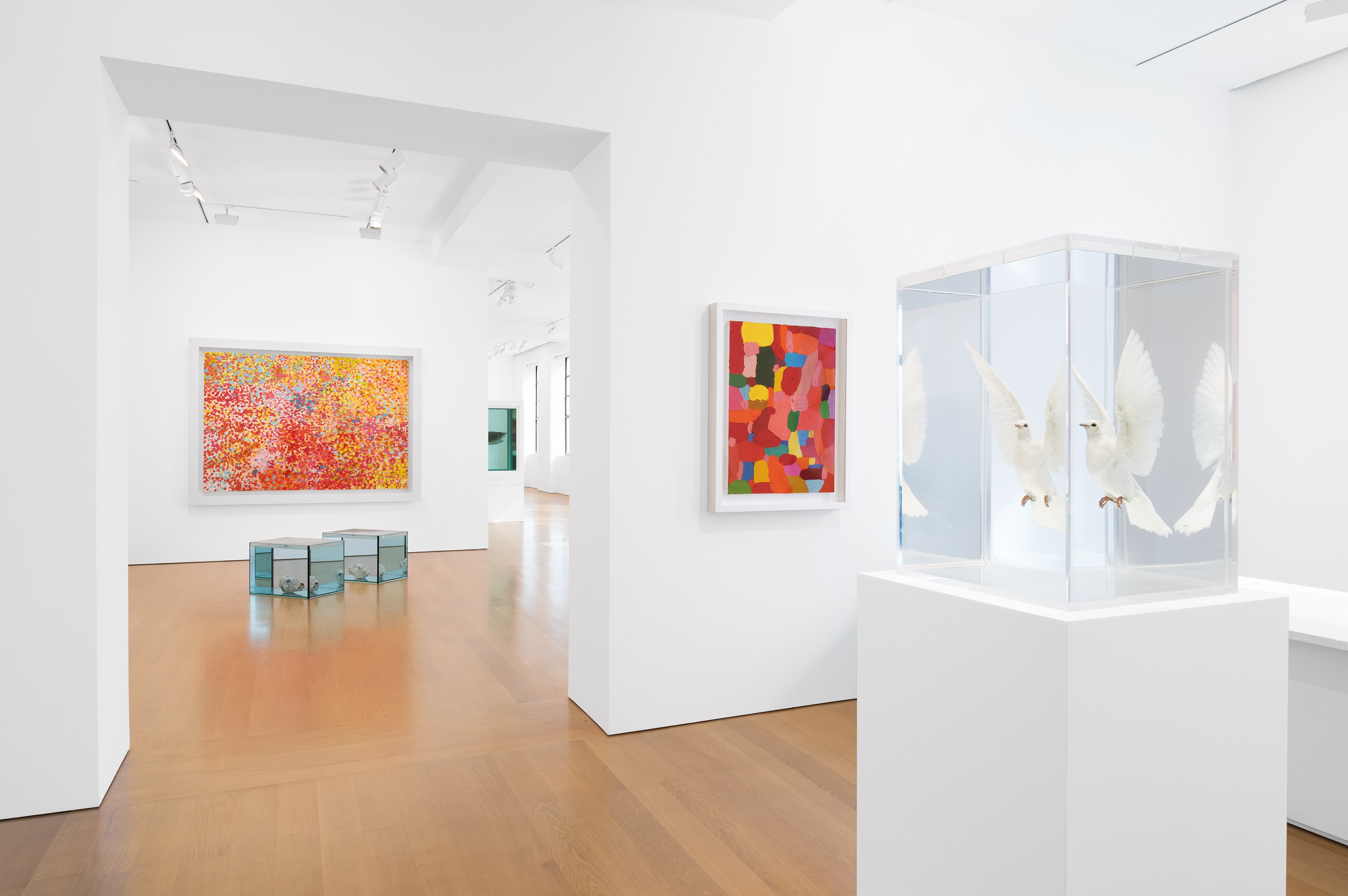 Damien Hirst: Visual Candy | Essay | Gagosian Quarterly