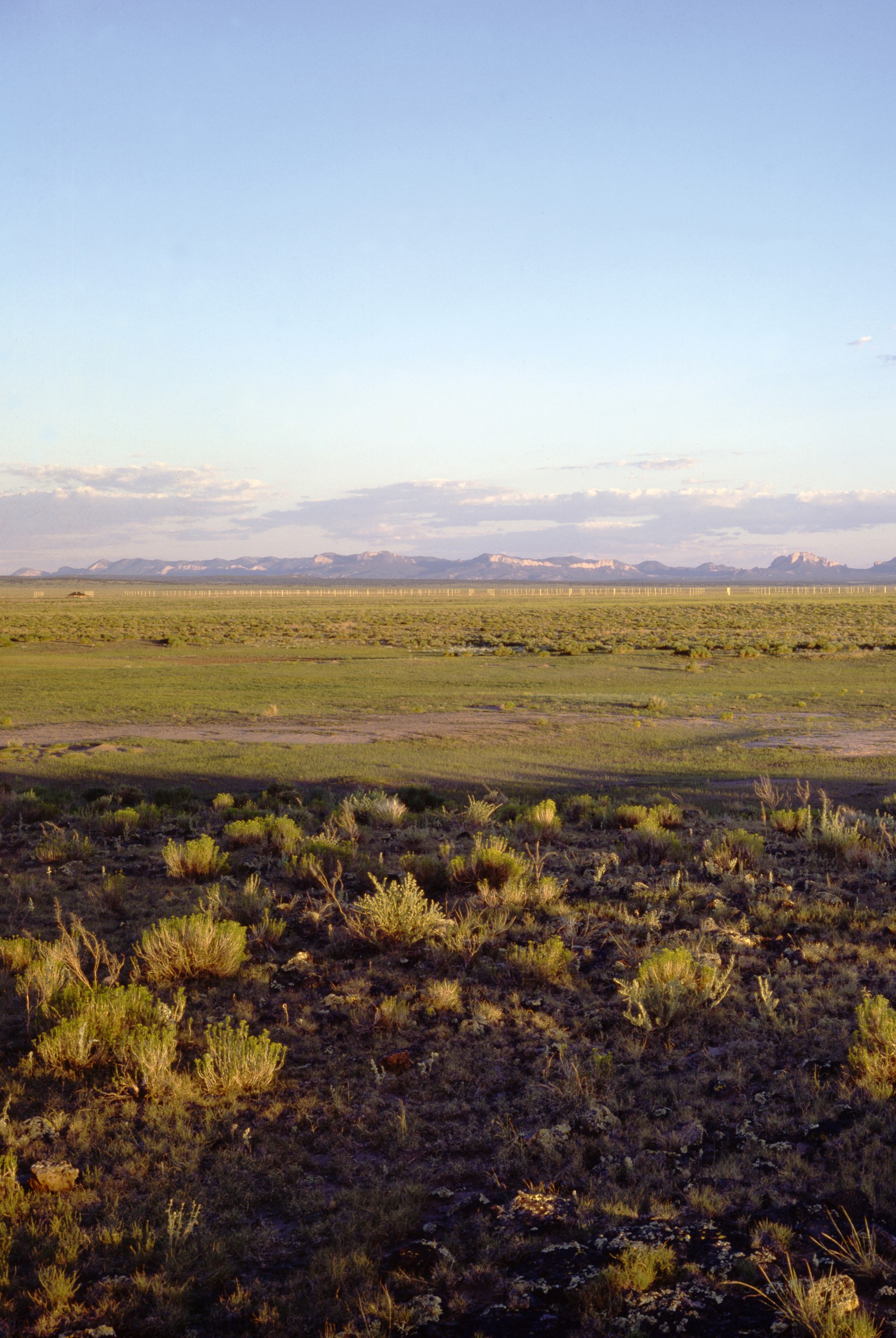 A Day in the Life of The Lightning Field | Essay | Gagosian Quarterly