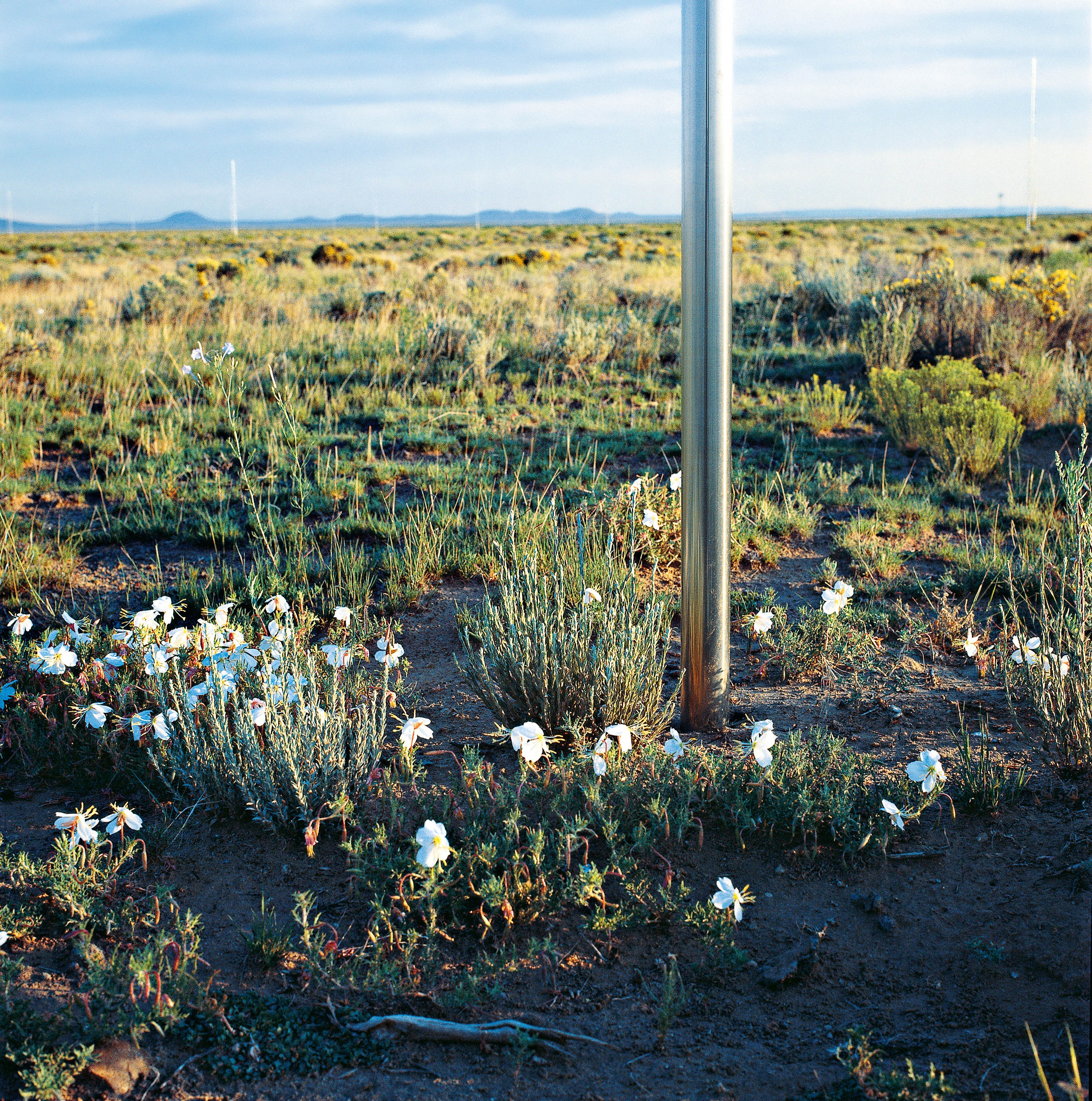 A Day in the Life of The Lightning Field | Gagosian Quarterly
