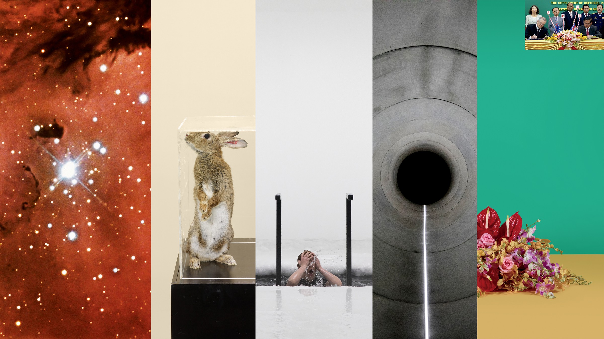 Taryn Simon, Park & 75, New York, March 20–April 26, 2025 | Gagosian