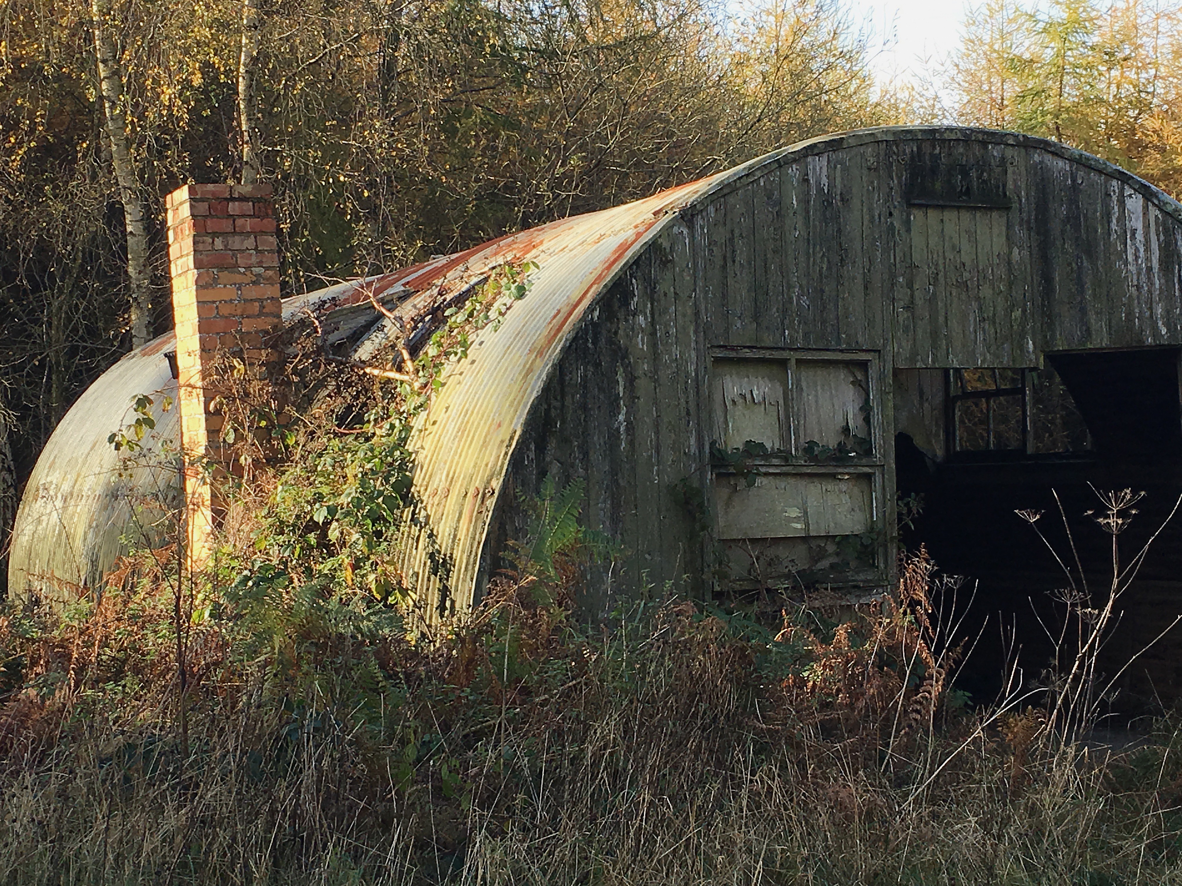 Shy Sculpture: Nissen Hut | Gagosian Quarterly
