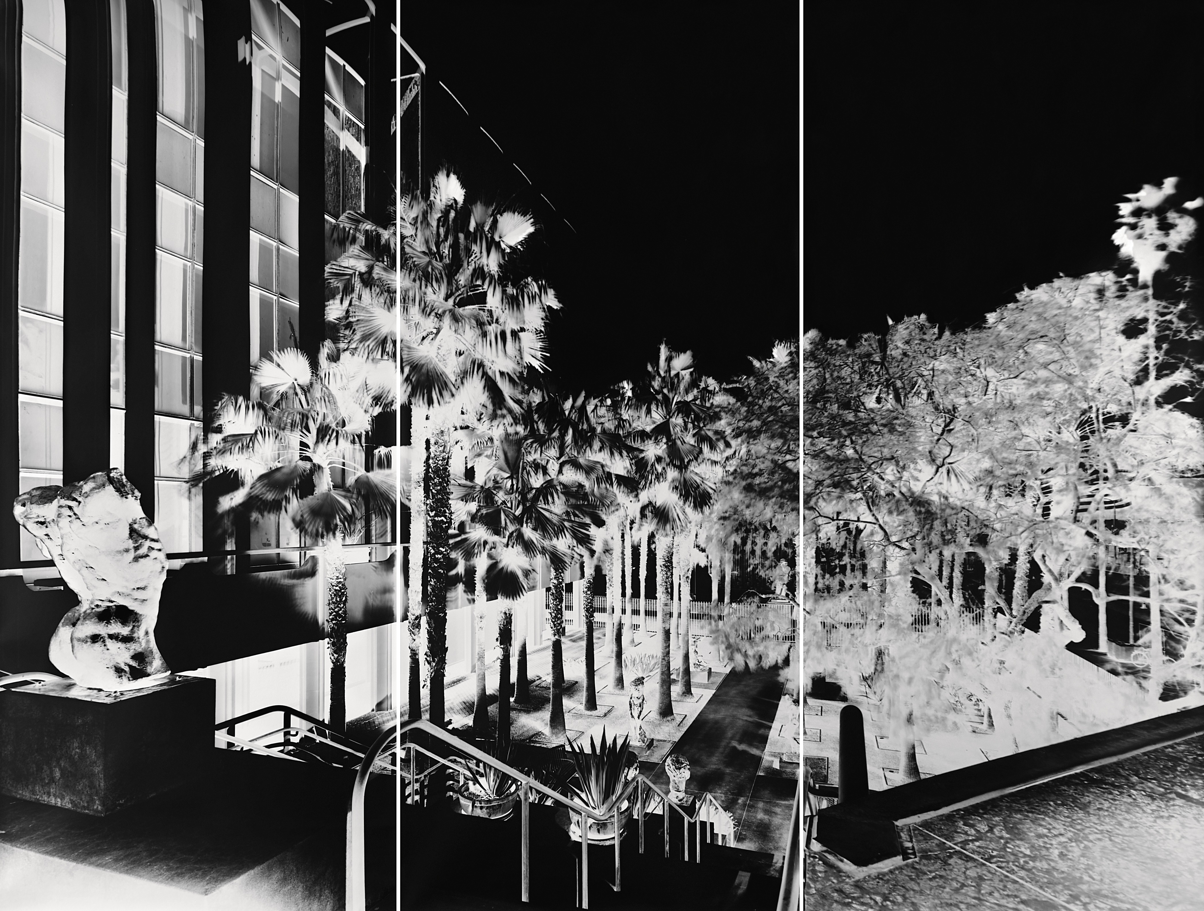Vera Lutter: Museum in the Camera | Gagosian Quarterly
